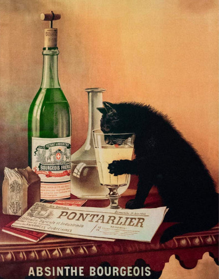 Absinthe Bourgeoise Black Cat – Knot & Soul